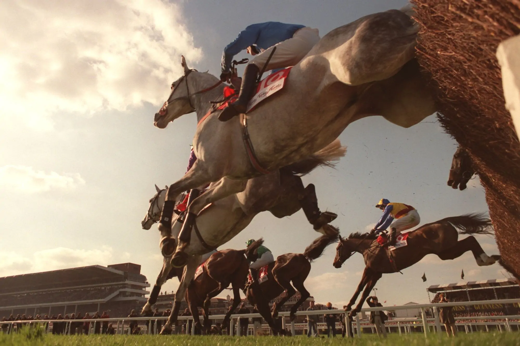 Benidorm Cheltenham Festival: Times, Bars and What to Expect